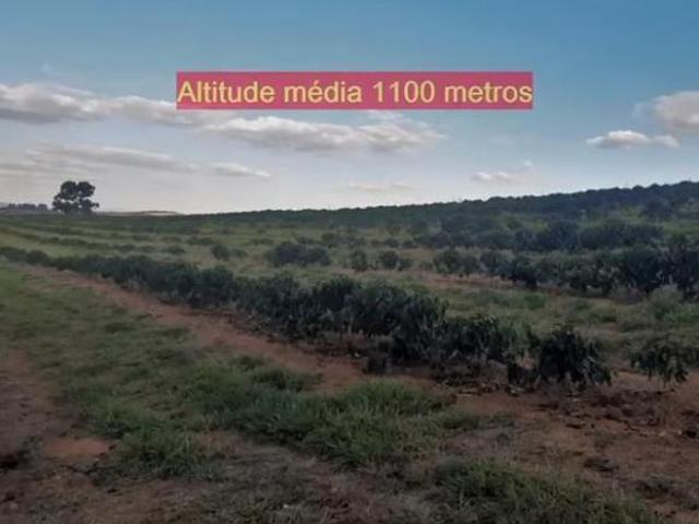 Fazenda / Sítios / Chácaras com 2 quartos à venda em Carmo Da Cachoeira, no bairro Zona Rural