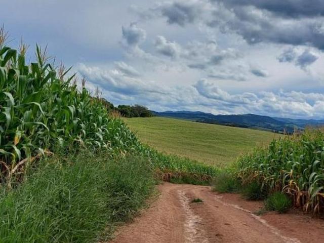 Fazenda / Sítios / Chácaras com 2 quartos à venda em Carmo De Minas, no bairro Zona Rural