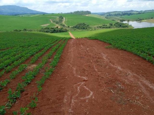 Fazenda / Sítios / Chácaras com 2 quartos à venda em Cruzília, no bairro Zona Rural