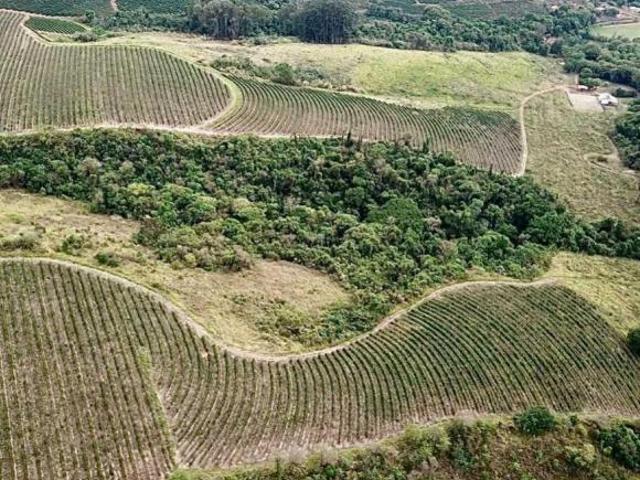 Fazenda / Sítios / Chácaras com 2 quartos à venda em Boa Esperança, no bairro Zona Rural