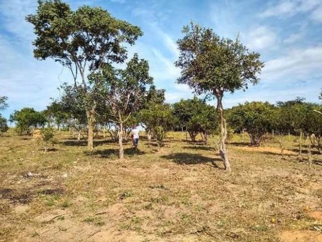 Fazenda / Sítios / Chácaras com 2 quartos à venda em Brumadinho, no bairro Zona Rural