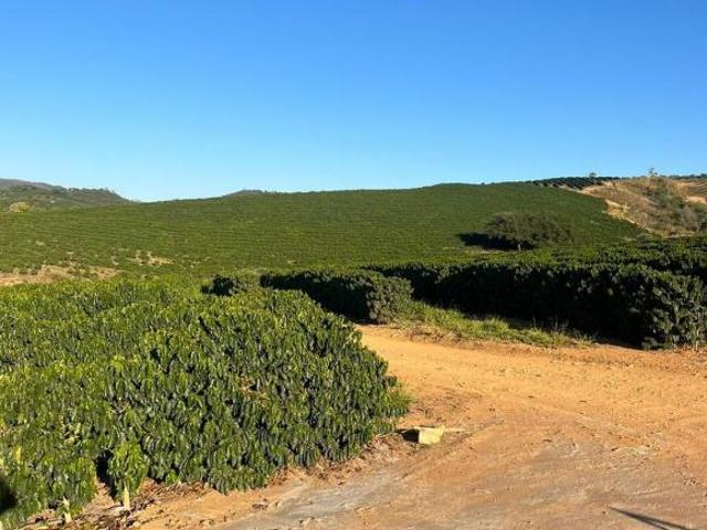 Fazenda / Sítios / Chácaras com 2 quartos à venda em Ilicínea, no bairro Zona Rural
