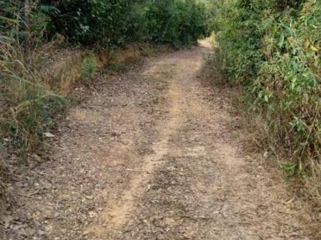 Fazenda / Sítios / Chácaras com 2 quartos à venda em Jaboticatubas, no bairro Fazenda Canto Do Amanh