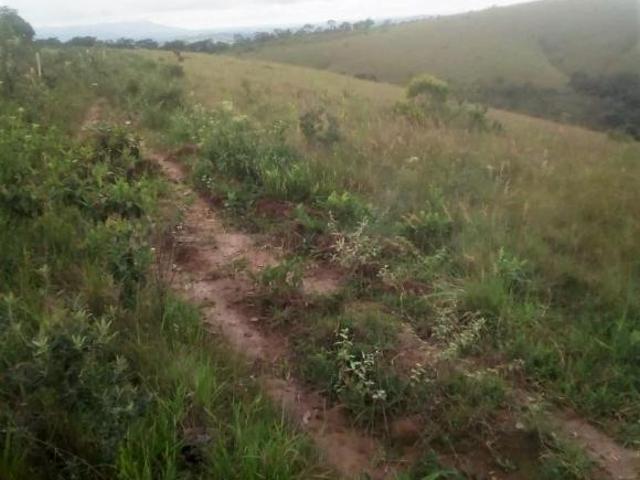 Fazenda / Sítios / Chácaras com 2 quartos à venda em Minduri, no bairro Centro