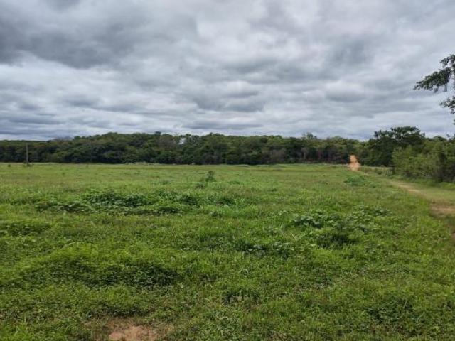 Fazenda / Sítios / Chácaras com 2 quartos à venda em Santo Hipólito, no bairro Zona Rural