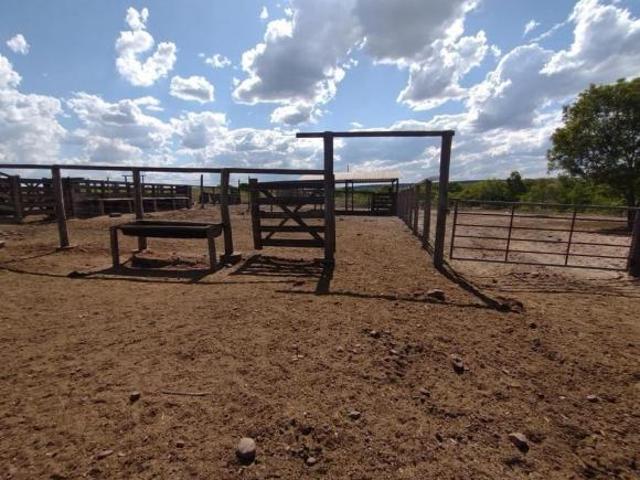 Fazenda / Sítios / Chácaras com 2 quartos à venda em Santa Fé De Minas, no bairro Zona Rural