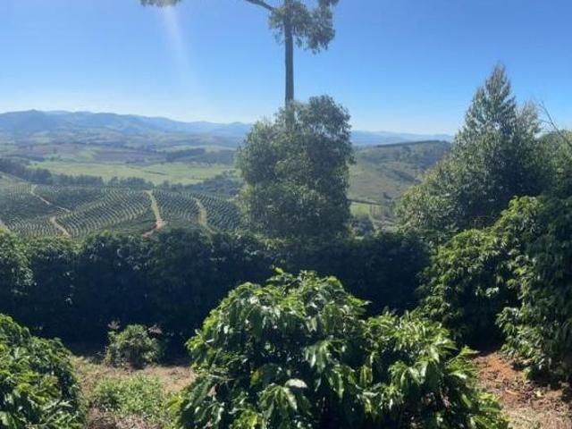 Fazenda / Sítios / Chácaras com 2 quartos à venda em Santa Rita Do Sapucaí, no bairro Área Rural De