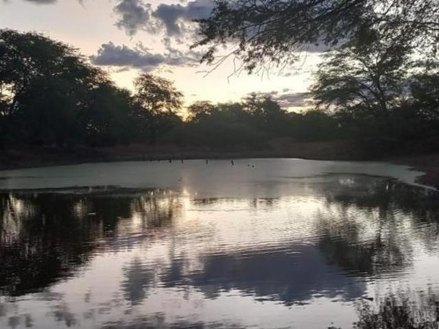 Fazenda / Sítios / Chácaras com 2 quartos à venda em Verdelândia, no bairro Zona Rural