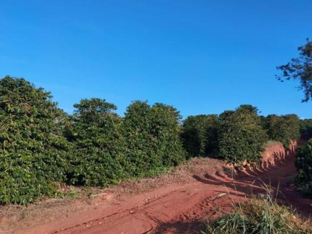 Fazenda / Sítios / Chácaras com 4 quartos à venda em Cabo Verde, no bairro Zona Rural