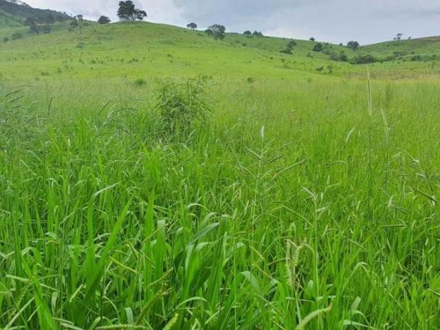 Fazenda / Sítios / Chácaras com 4 quartos à venda em Carmo De Minas, no bairro Zona Rural