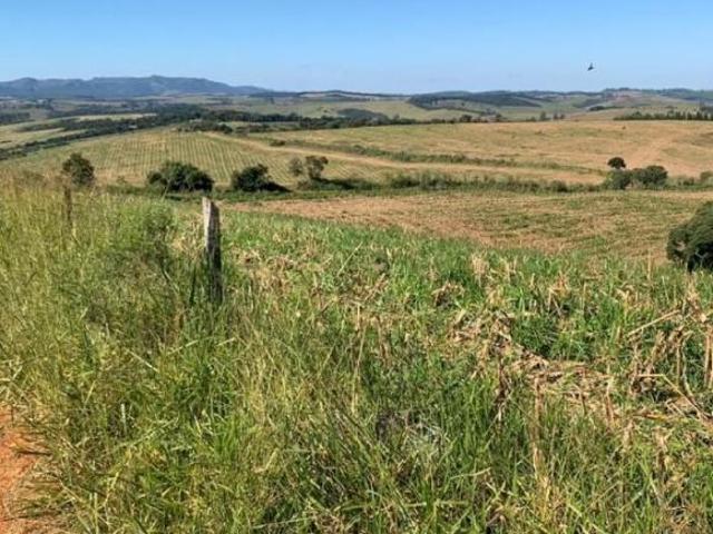 Fazenda / Sítios / Chácaras com 4 quartos à venda em Cruzília, no bairro Zona Rural