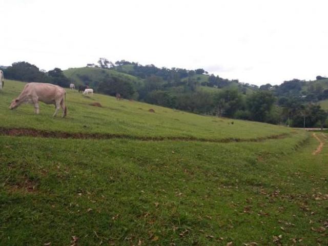 Fazenda / Sítios / Chácaras com 4 quartos à venda em Borda Da Mata, no bairro Serrinha