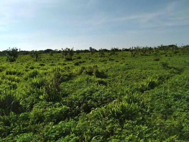 Fazenda / Sítios / Chácaras com 4 quartos à venda em Buritizeiro, no bairro Zona Rural