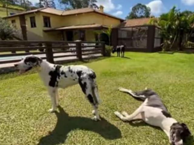 Fazenda / Sítios / Chácaras com 4 quartos à venda em Entre Rios De Minas, no bairro Coqueiros