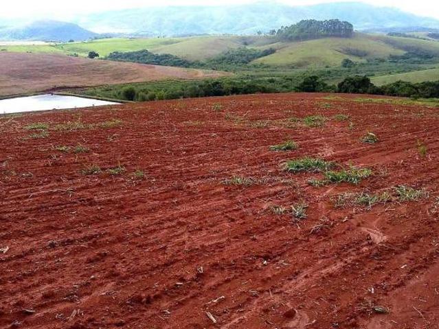 Fazenda / Sítios / Chácaras com 4 quartos à venda em Minduri, no bairro Zona Rural