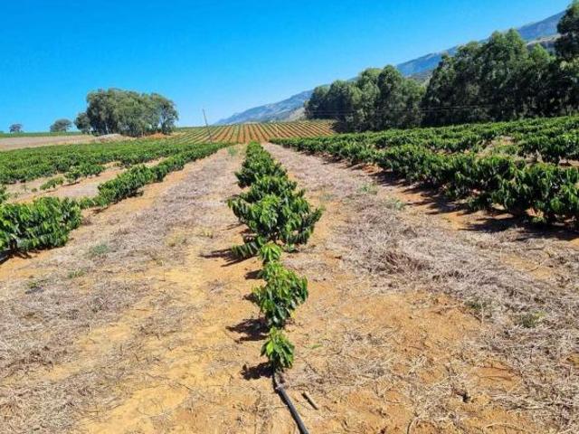 Fazenda / Sítios / Chácaras com 4 quartos à venda em São João Da Mata, no bairro Zona Rural