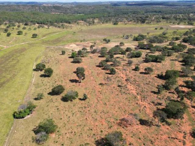 Fazenda / Sítios / Chácaras com 4 quartos à venda em Santana De Pirapama, no bairro Zona Rural