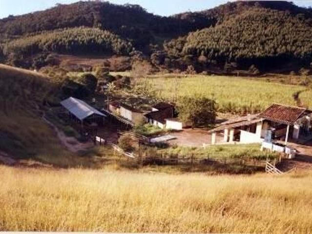 Fazenda / Sítios / Chácaras com 4 quartos à venda em Porto Firme, no bairro Centro