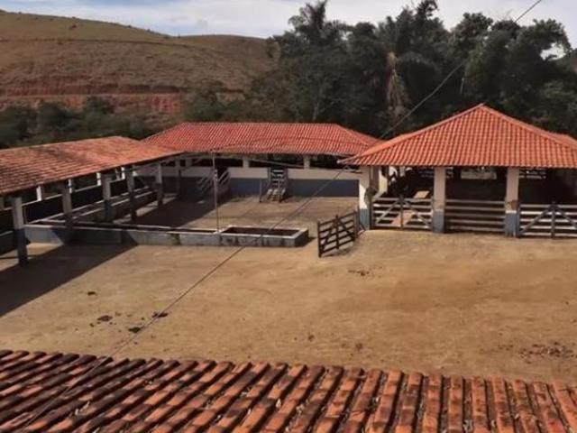Fazenda / Sítios / Chácaras com 4 quartos à venda em Pequeri, no bairro Zona Rural