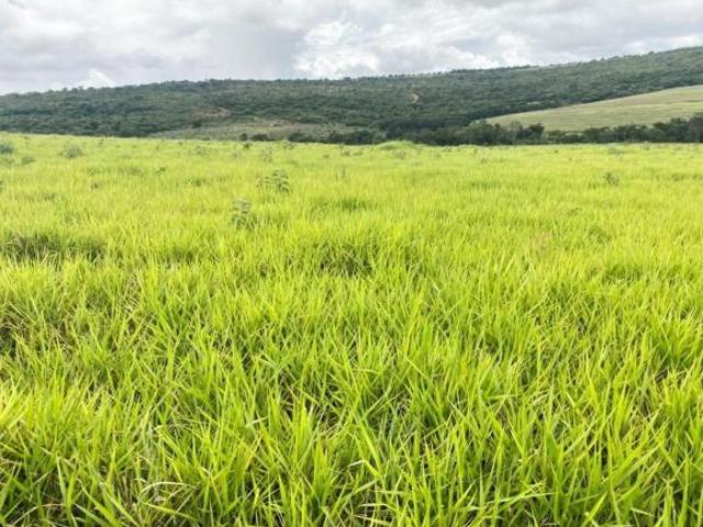 Fazenda / Sítios / Chácaras com 4 quartos à venda em Três Marias, no bairro Centro
