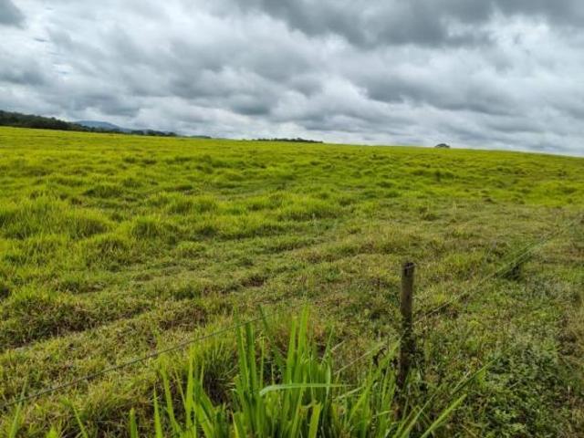 Fazenda / Sítios / Chácaras com 5 quartos à venda em Conceição Do Pará, no bairro Zona Rural