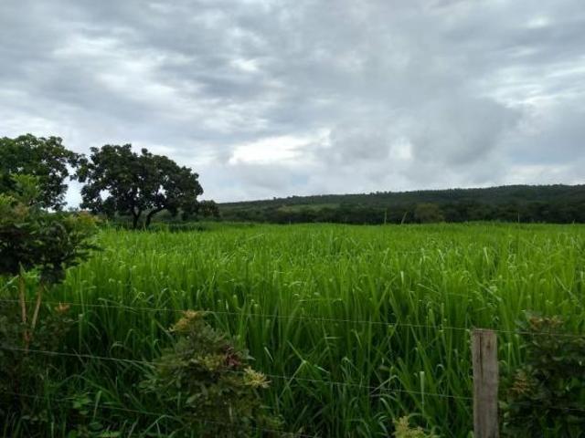 Fazenda / Sítios / Chácaras com 5 quartos à venda em Corinto, no bairro Zona Rural