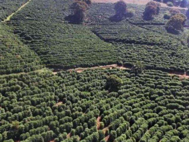 Fazenda / Sítios / Chácaras com 5 quartos à venda em Cambuquira, no bairro Zona Rural
