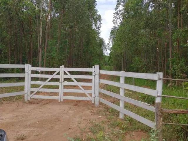 Fazenda / Sítios / Chácaras com 5 quartos à venda em Abaeté, no bairro Km 36