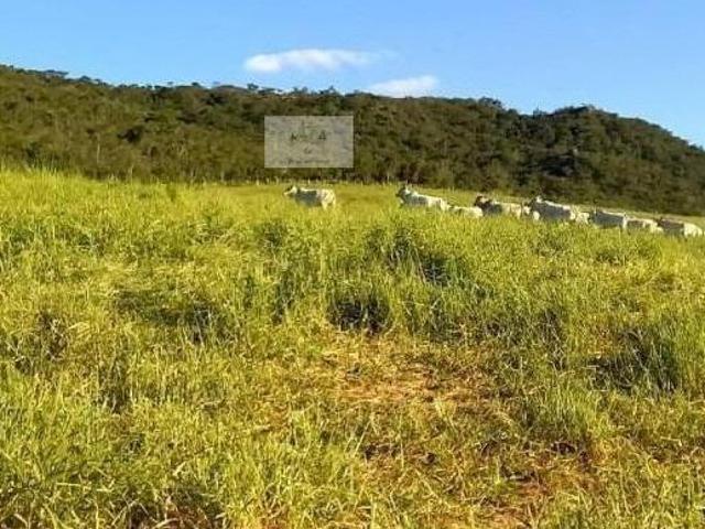 Fazenda / Sítios / Chácaras com 5 quartos à venda em Oliveira, no bairro Centro