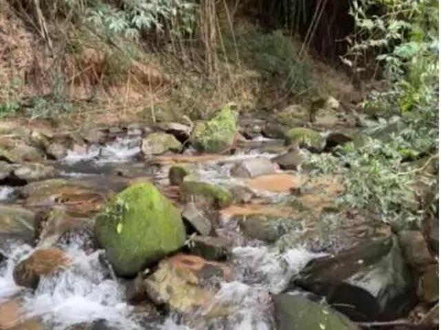 Fazenda / Sítios / Chácaras com 5 quartos à venda em Moeda, no bairro Zona Rural