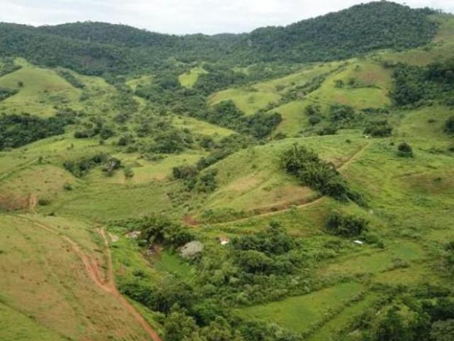 Fazenda / Sítios / Chácaras com 5 quartos à venda em Palma, no bairro 36750000