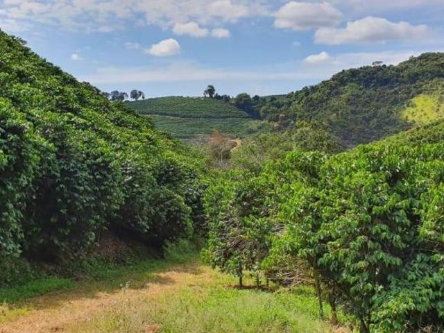 Fazenda / Sítios / Chácaras com 6 quartos à venda em Conceição Do Rio Verde, no bairro Centro