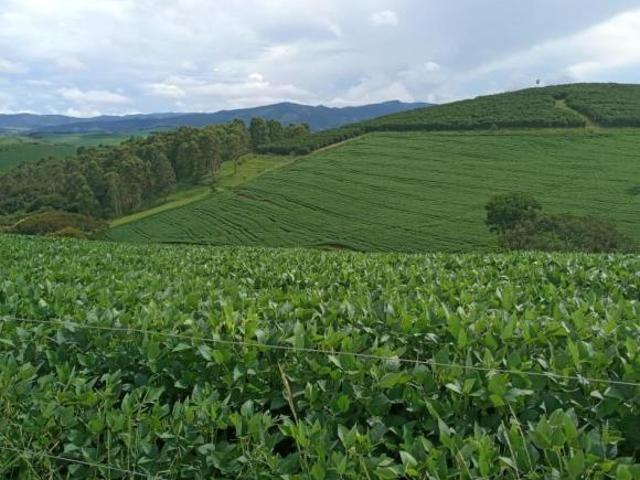 Fazenda / Sítios / Chácaras com 6 quartos à venda em Carmo De Minas, no bairro Zona Rural