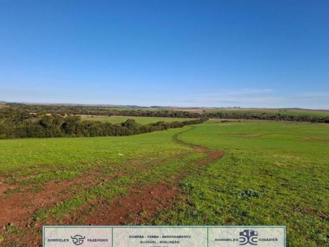 Fazenda, Tupantuba, Santiago, RS