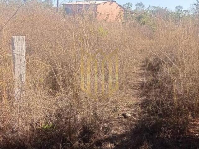 Fazenda Tesouro MT a venda