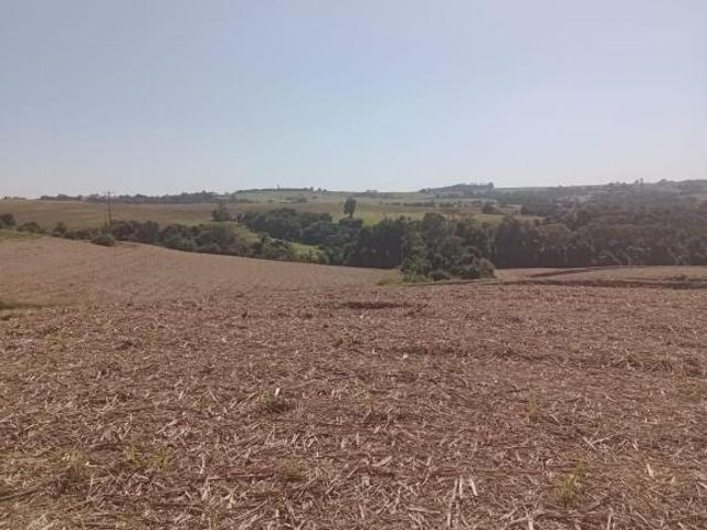 FAZENDA TIETE