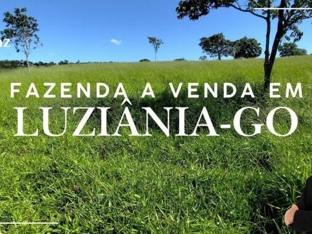 Fazenda toda formada a venda em Luziânia