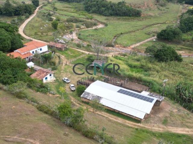 Fazenda tradicional de 200 ha na região de Ubá MG