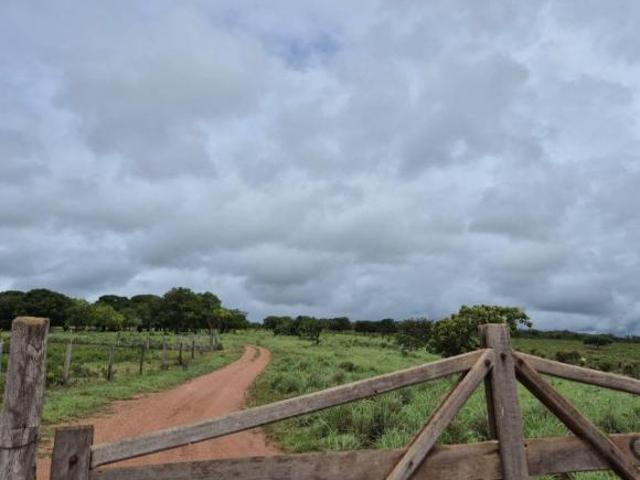 Fazenda – Trajanópolis, Padre Bernardo/GO