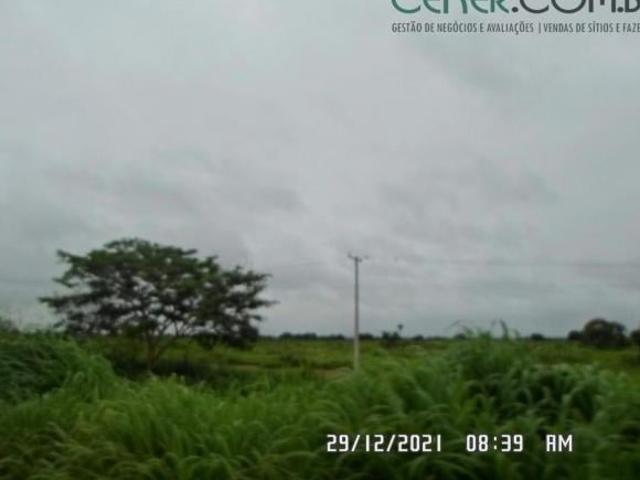 Fazenda Única de 416 ha na Foz do Rio São Francisco com Rio das Velhas Espetacular