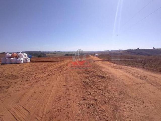 Fazenda Venda em Araxá MG | 205 ha |Café e Grãos | 980m alt