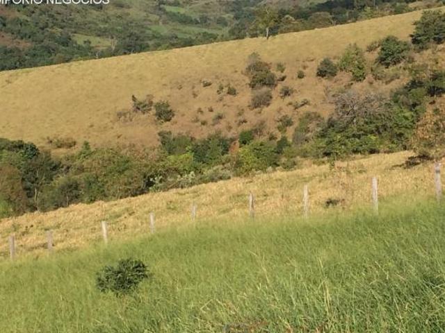 Fazenda venda. Empório Negócios vende fazenda pecuária em Tapiratiba