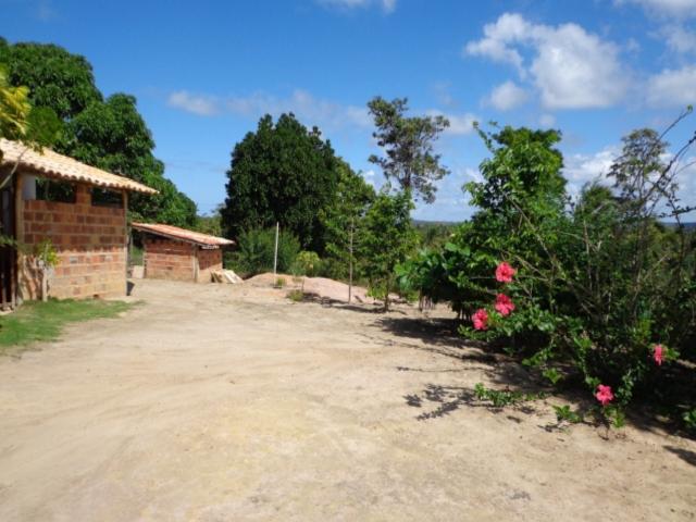 Fazenda Venda Jandaira BA Gameleira