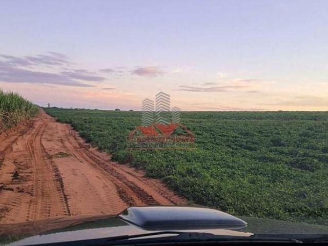 Fazenda Venda São Manuel SP | 486 Alqueires para Cana e Grão