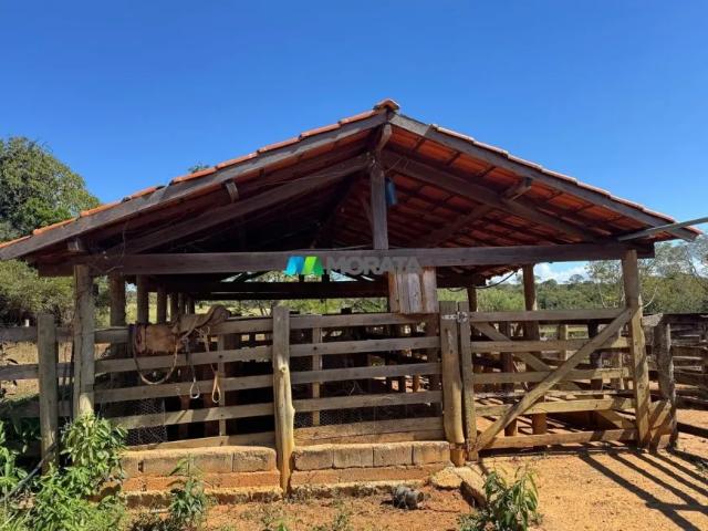 Fazenda ã venda 100 hectares morro da garãa mg