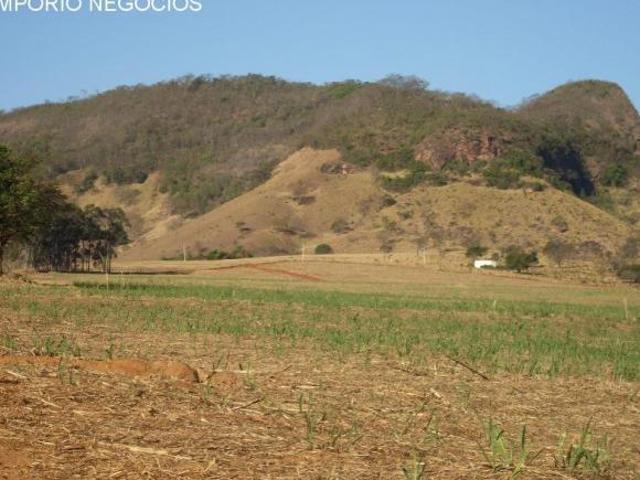 Fazenda vende. Empório Negócios venda fazenda pecuária e lavoura cana em Cajuru SP
