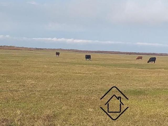 Fazenda, Viamao, Viamao, RS