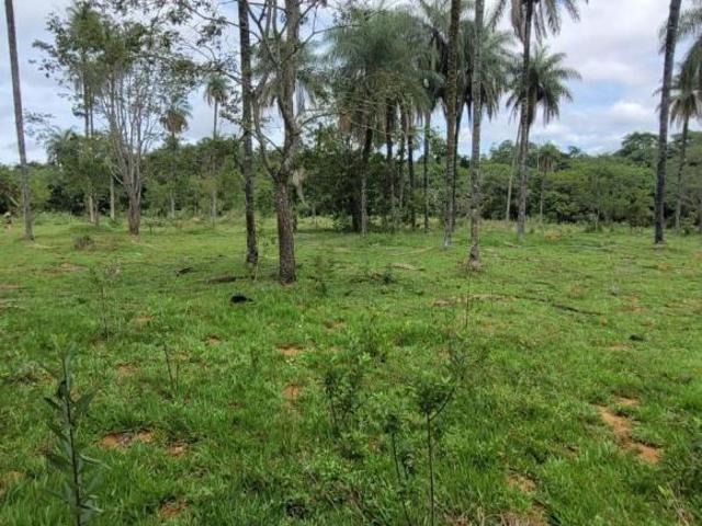 Fazenda, *, Vila Boa, GO