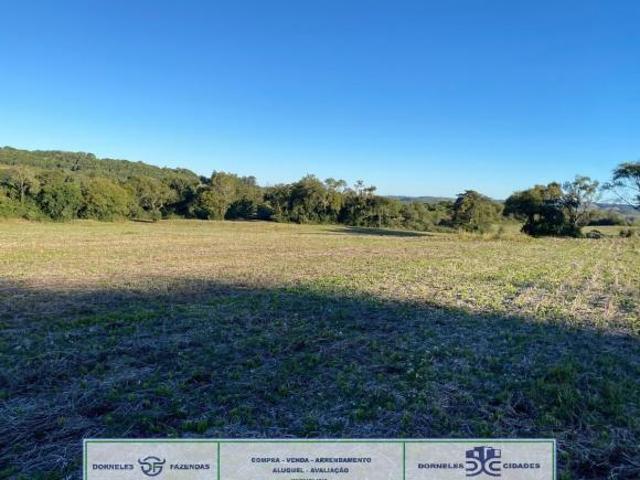 Fazenda, Vila Betânia, Santiago, RS