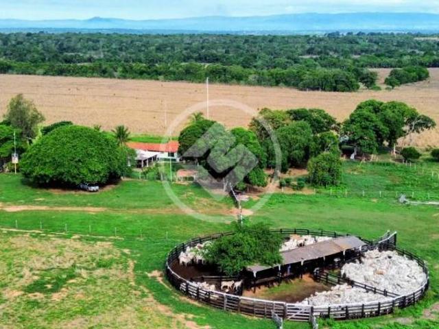 Fazenda Vitrine em Poconé – 630 ha Dupla Aptidão
